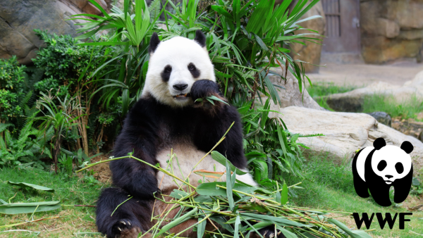 Create beautiful new visuals in Tableau with just a few clicks.